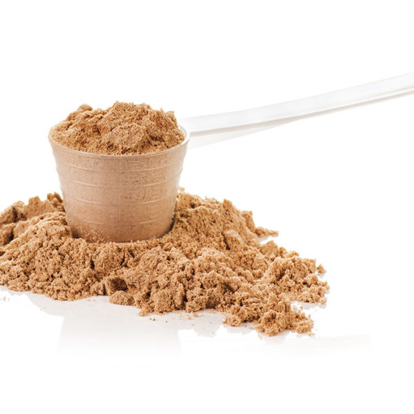 Cricket powder flour - High protein - All natural - UK delivery