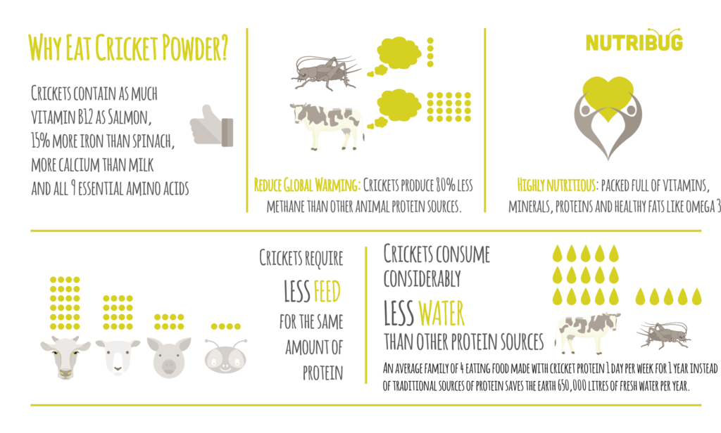 why-eat-cricket-powder - Nutribug Ltd - Cricket powder, edible crickets ...
