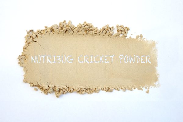 Cricket powder - High protein - natural - UK EU delivery