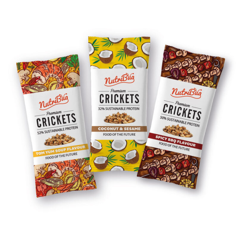 Cricket Protein Bars | Pack of three flavours | Nutribug.com